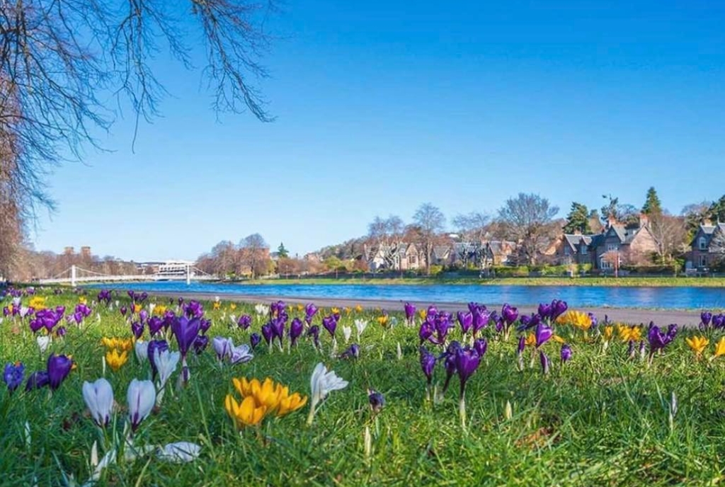 Inverness Palace Hotel-Complete Guide To Spring In Inverness